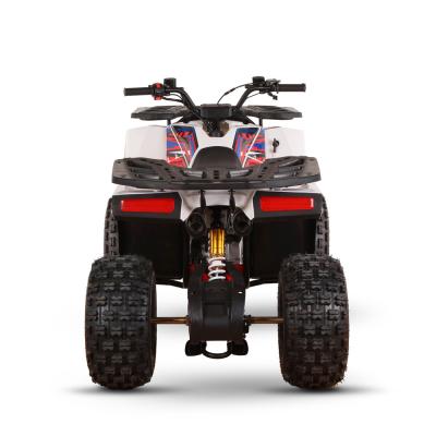 China 1000W Automatic Transmission Type 4x4 ATVs UTVs Off Road Farm Motor 150cc Four Wheel for sale