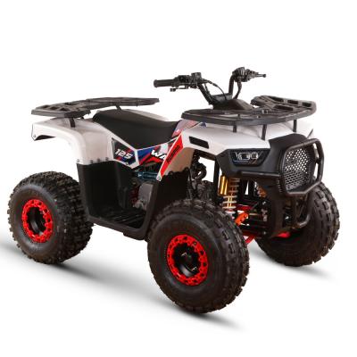 China 125cc Four Wheeler Bike for Off-Road Adventures Maximum Speed 50-75Km/h 1 Cylinder for sale