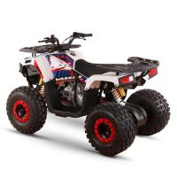 China 125cc Four Wheeler Bike for Off-Road Adventures Maximum Speed 50-75Km/h 1 Cylinder for sale