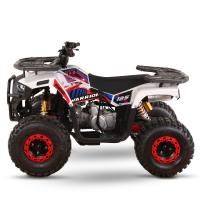 China 125cc Four Wheeler Bike for Off-Road Adventures Maximum Speed 50-75Km/h 1 Cylinder for sale