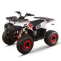 China 125cc Four Wheeler Bike for Off-Road Adventures Maximum Speed 50-75Km/h 1 Cylinder for sale