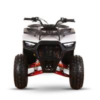 China 125cc Four Wheeler Bike for Off-Road Adventures Maximum Speed 50-75Km/h 1 Cylinder for sale