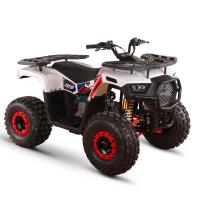 China 125cc 110cc 4 Stroke Mini Quad EPA Adult ATVs 4 Wheeler ATV for Kids/Teenager Buggy ATV for sale