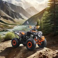 China 2024 Direct 125CC 2WD ATVs Automatic Transmission Shaft Drive 4-Stroke Quad Bike Fuel Gas for sale