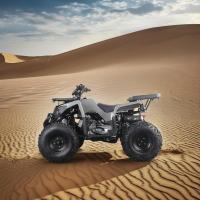 China Powerful 200cc Gas ATV for Adults Maximum Torque of 40-60Nm and Top Speed of 75km/h for sale