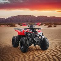 China Powerful 200cc Gas ATV for Adults Maximum Torque of 40-60Nm and Top Speed of 75km/h for sale