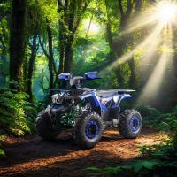 China Adult Children Steel 2WD 12V Electric Manual Chain Drive with Reverse Gear 125cc Automatic ATV Quads for sale