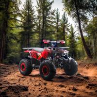 China Adult Children Steel 2WD 12V Electric Manual Chain Drive with Reverse Gear 125cc Automatic ATV Quads for sale