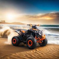 China 110cc Air Cooled Petrol 4 Wheeler ATV Quad Bike with Maximum Torque Nm of 20-40Nm for sale