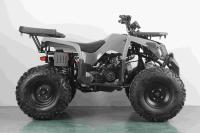 China All-terrain 200CC Petrol Adult ATV with Automatic Engine and 10 Inch Steel Wheels for sale