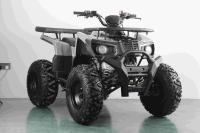 China All-terrain 200CC Petrol Adult ATV with Automatic Engine and 10 Inch Steel Wheels for sale