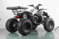 China All-terrain 200CC Petrol Adult ATV with Automatic Engine and 10 Inch Steel Wheels for sale