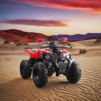 China 2024 Runpro 10 Inch Steel Tire 200cc ATV with LED Light Unleash Your Inner Adventurer for sale