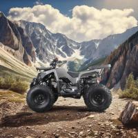 China 2024 Runpro 10 Inch Steel Tire 200cc ATV with LED Light Unleash Your Inner Adventurer for sale