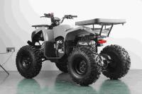 China Off Road 10 inch Tire 200CC 250CC Adult Quad ATV with Automatic Start and Chain Drive for sale