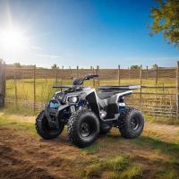China 2024 Off Road 10 Inch Tire Big ATV 150CC 200CC 250CC Adult Farm Quad 4 Stroke Four Wheels with CE for sale