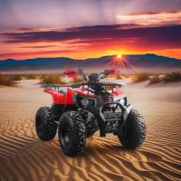 China 2024 Off Road 10 Inch Tire Big ATV 150CC 200CC 250CC Adult Farm Quad 4 Stroke Four Wheels with CE for sale