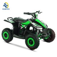 China Electric Farmer Motorcycle 1000W 48V12ah Kids Quads for Outdoor Racing and Farming for sale