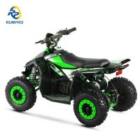 China Electric Farmer Motorcycle 1000W 48V12ah Kids Quads for Outdoor Racing and Farming for sale
