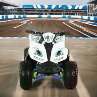 China 48V 1200W Electric ATV Quad Bike for Adults Payload Capacity ≤100kg MAX SPEED 38KM/H for sale