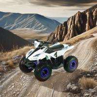 China 48V 1200W Electric ATV Quad Bike for Adults Payload Capacity ≤100kg MAX SPEED 38KM/H for sale