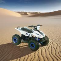 China 48V 1200W Electric ATV Quad Bike for Adults Payload Capacity ≤100kg MAX SPEED 38KM/H for sale