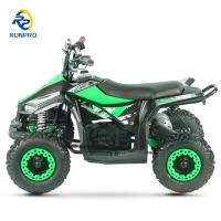 China Kids Off-Road Sport E-QUAD Electric ATV with 1000W 36V Brush Motor and CE Certification for sale