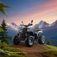 China RUNPRO 200CC ATV Quad Bike for Adult Electric Pull Start and Automatic Transmission for sale