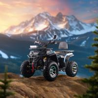 China RUNPRO 200CC ATV Quad Bike for Adult Electric Pull Start and Automatic Transmission for sale