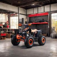 China Runpro 125cc Quad ATV CE Certified 2WD Electric Start Quads for Adults Fuel and Powerful for sale