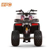China 110cc 125cc 150cc 4-Stroke Gas-Powered Kids' Quad Bike ATV for Automatic Transmission for sale