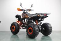 China 125CC 4-Stroke ATV Children's Motorcycle with 8-inch Tires and CE All-Terrain Vehicle for sale