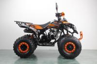 China 125CC 4-Stroke ATV Children's Motorcycle with 8-inch Tires and CE All-Terrain Vehicle for sale