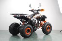 China 125CC 4-Stroke ATV Children's Motorcycle with 8-inch Tires and CE All-Terrain Vehicle for sale