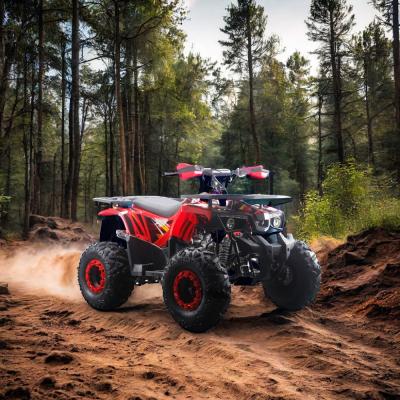 China 125cc ATV for Kids RunPro 2024 Electric Start Farm Quad Bike Chain Drive CE Automatic for sale