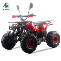 China 125cc ATV for Kids RunPro 2024 Electric Start Farm Quad Bike Chain Drive CE Automatic for sale