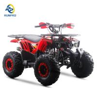 China 125cc ATV for Kids RunPro 2024 Electric Start Farm Quad Bike Chain Drive CE Automatic for sale