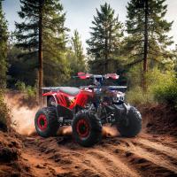China 125cc ATV for Kids RunPro 2024 Electric Start Farm Quad Bike Chain Drive CE Automatic for sale