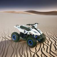 China 1200W Electric ATV for Kids and Adults Shaft Drive 48V/12AH Battery 2024 for sale