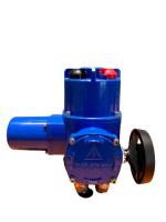China 5000NM IP67 Explosion Proof Valve Actuator Part Turn Electric OEM for sale