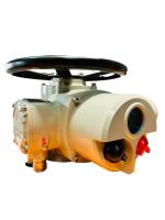 China 220V AC 2500NM Multi Turn Pneumatic Actuator Customized IP67 for sale
