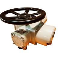 China 10kW Part Turn Electric Actuator Intelligent Custom Explosion Proof for sale