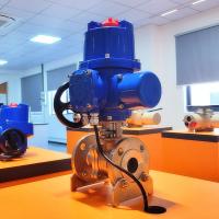China IP67/IP68 NEMA 4/4X/7&9 Electric Power Rotary Actuator for Valve Control for sale