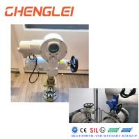 China Power Plants 30N.M Profibus/Modbus Electric Linear Actuator with 30000/Year Production Capacity for Globe Valve for sale