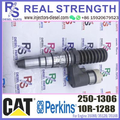 China 250-1308 Common Rail Fuel Excavator 3512B/3516B njector 10R-1280 250-1304 250-1306 for sale