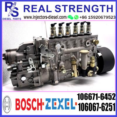 China Diesel Fuel Injector Pump assembly 106671-6452 106067-6251 For ZEXEL DIESEL for sale