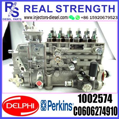 China Diesel Common Rail Fuel Pump C0606274910 1002574 For Diesel Engine for sale
