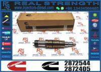 China 2488244 2036181 2872544 2086663 Injector 2057401 2872405 2438101 DC09 DC13 DC16 Injector 2872544 for sale