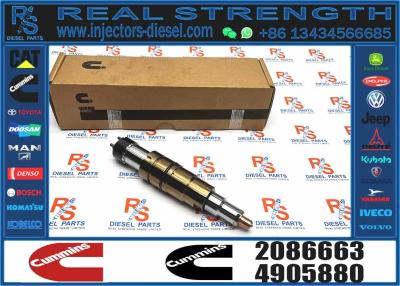 China 2029622 Genuine Diesel Common Rail Fuel Injector 1948565 2030519 2031836 2031835 2086663 for sale