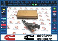 China Diesel Injector ISM11 QSM11 M11 Diesel Fuel Injector 4903319 4902921 4903472 4026222 for Sale for sale